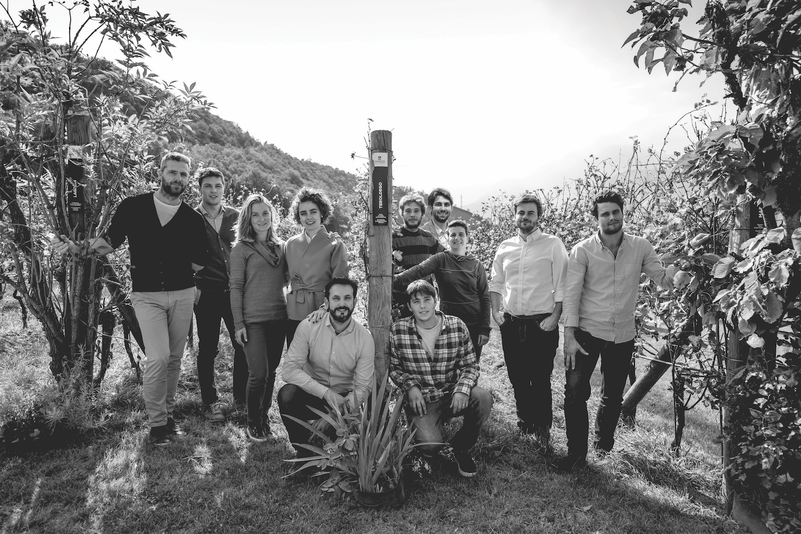 Il caso del Teroldego - VertigoMagazine.it